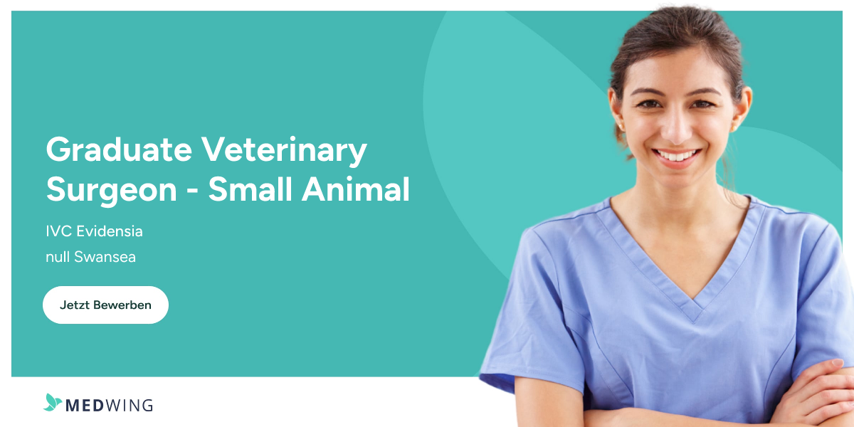 Graduate Veterinary Surgeon - Small Animal at IVC Evidensia